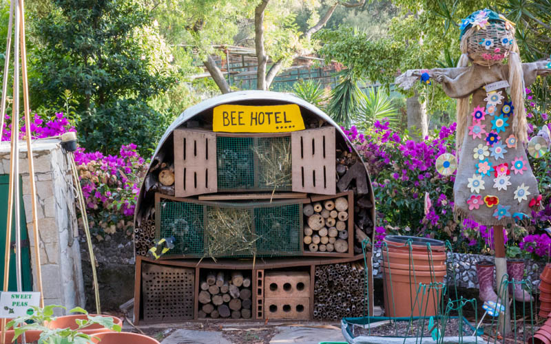 bee hotels - create a buzz